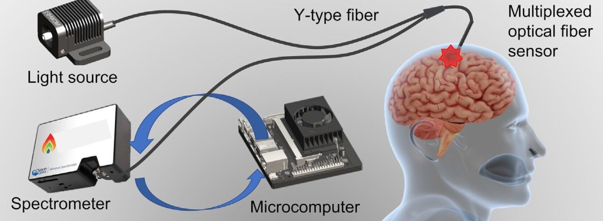 Clinical trial compares Amulet with Watchman FLX device for ...